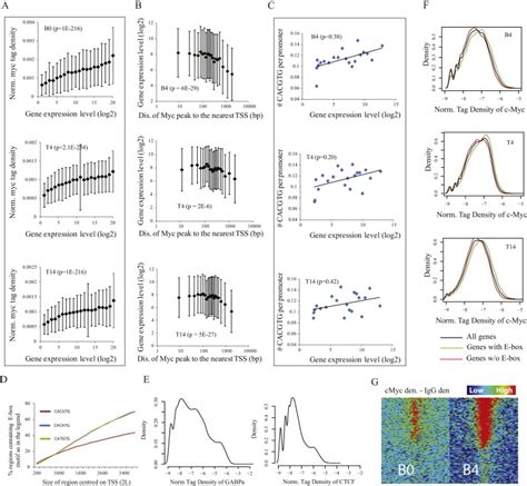 C Myc Is A Universal Amplifier Of Expressed Genes In Lymphocytes And Embryonic Stem Cells Cell