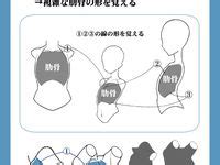 胸の描き方