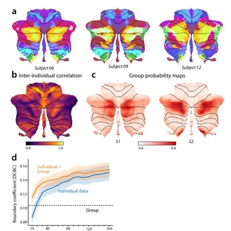 The Functional Atlas Improves Individual Precision Mapping A