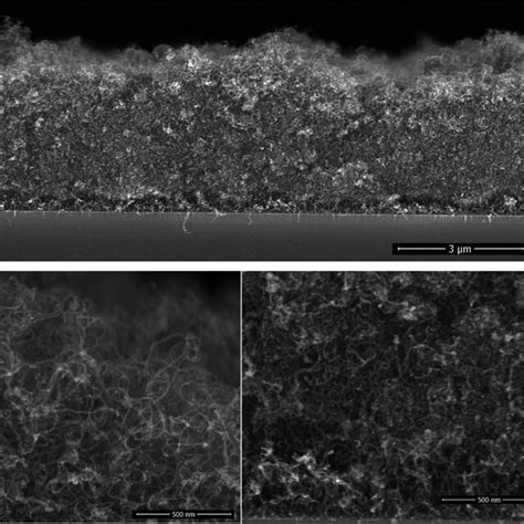 the cross section morphology of a ∼4 μm thick film of randomly oriented