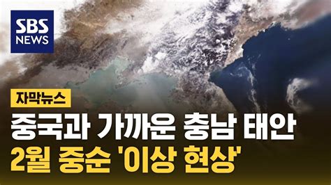 한국이 떠넘긴다더니아차 딱 걸린 중국 자막뉴스 Sbs Youtube