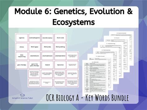 Genetics Evolution And Ecosystems Ocr Key Words Teaching Resources