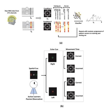 Multivariate Decoding Of Meg Sensor Data A Time Resolved