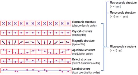 structure hierarchy and classification of microscopic structures pink