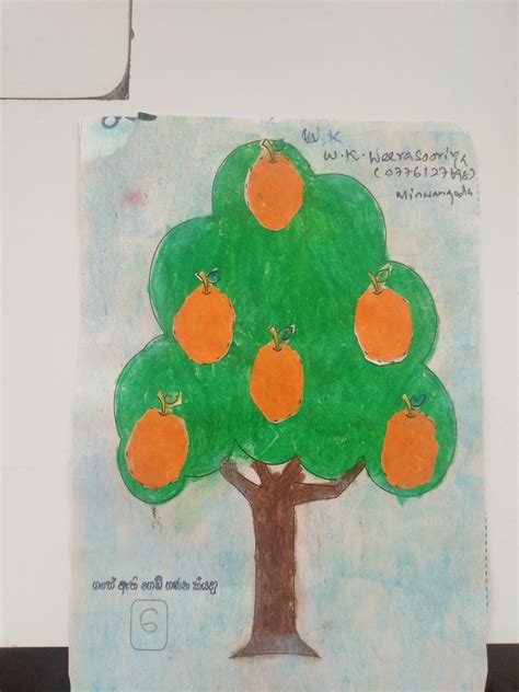 Atlas Sri Lanka ඔබට නම් මේ ”කුරුලු ලෑල්ල” මතක ඇති ගෙදර වත්තේ ගහක පුංචි ලෑල්ලක් සවි කරලා ඒ මත