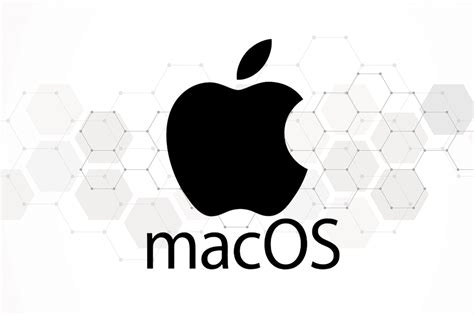 Apple Macos Un Vistazo Al Sistema Operativo Y Sus Funciones Punto Tecnológico