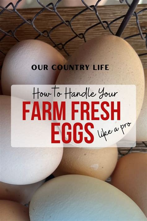 The Egg Float Test A Simple Way To Check The Freshness Of Your Eggs Our Country Life How To