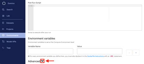 Access Additional Domains And Hostnames Domino Data Lab