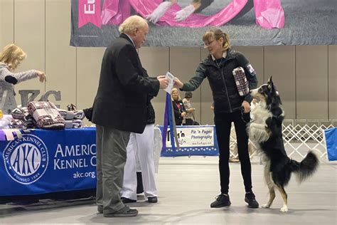 Meet 2023 Akc Obedience Classic Winner Kimberly Berkley And Zayne