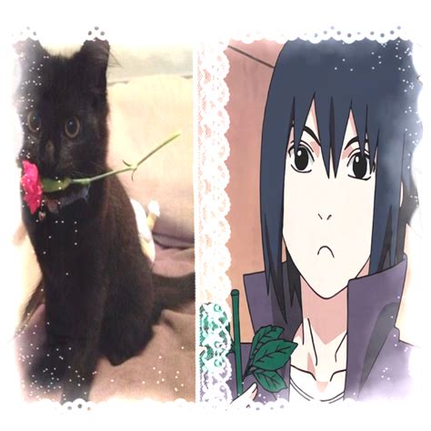 220 ⛬ ⛶ 𝑪𝒉𝒂𝒓𝒂𝒔𝒖𝒌𝒆🌹 ᐟ Ideas In 2025 Sasuke Uchiha Uchiha Sasuke