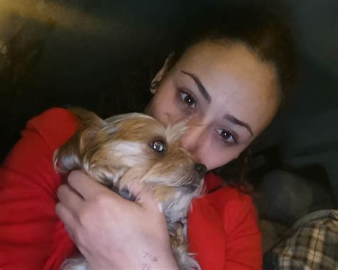 Encuentran A Nala La Perra Desaparecida En Tenerife