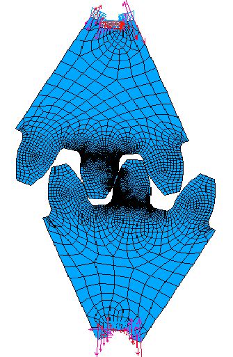 Fine Meshing Contours Around The Contact Zone And Root Fillet Radius