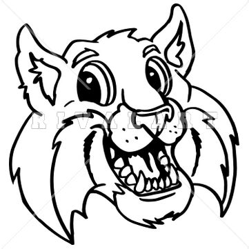 Bobcat Face Drawing Free Download On ClipArtMag
