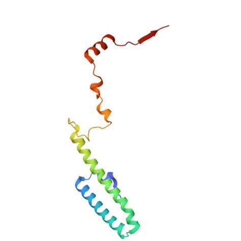 Rcsb Pdb 8y0w Dormant Ribosome With Eif5a Eef2 And Serbp1