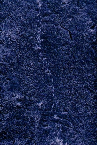 Andreas Strobel Artista Arteinformado