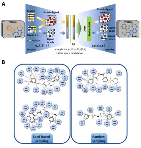 architecture of 3d graph based generative models including the 3d