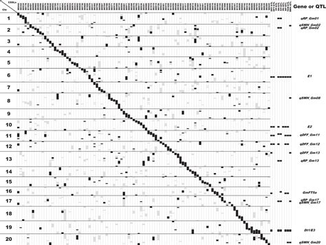 Figure 4 From Development Of A High Density Linkage Map And Chromosome Segment Substitution