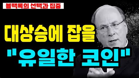 대상승에 잡을 유일한 코인 블랙록이 알려준 힌트로 잡아놔야합니다 Youtube