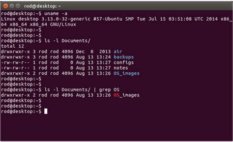 Cyberops Associate Module 4 Linux Overview