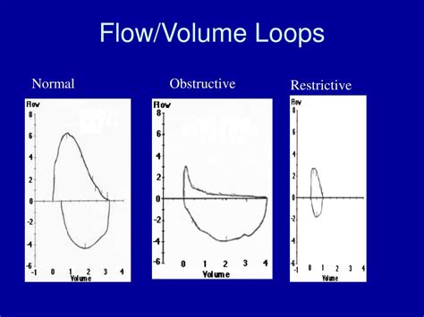 Ppt Pulmonary Function Tests Powerpoint Presentation Free Download
