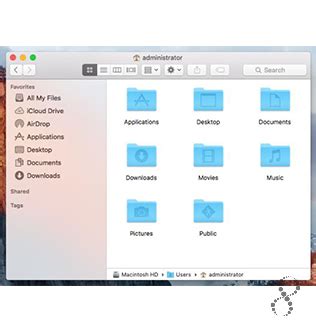 Расширение файла DS STORE Что это и как его открыть