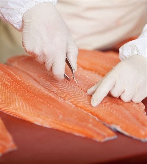 Seafood Processing Training Food Safety Courses Food Safe