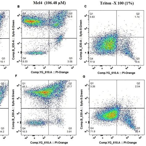 Cell Membrane Permeabilization Cell Membrane Permeability Of S Aureus Download Scientific