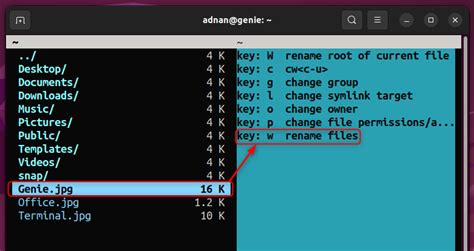 How To Rename A File On Ubuntu Linux Genie