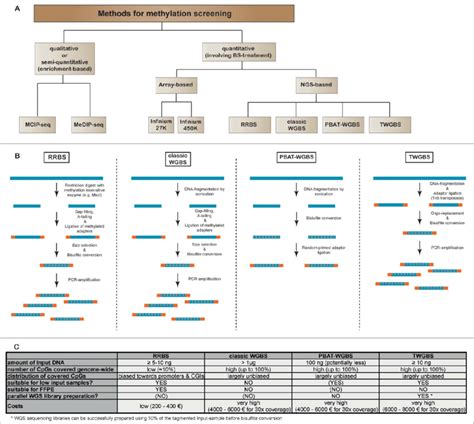 Comparison Of Sequencing Based Methods For Genome Wide Methylation