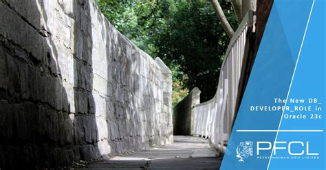 Limited On Linkedin Oracleace 23c Role