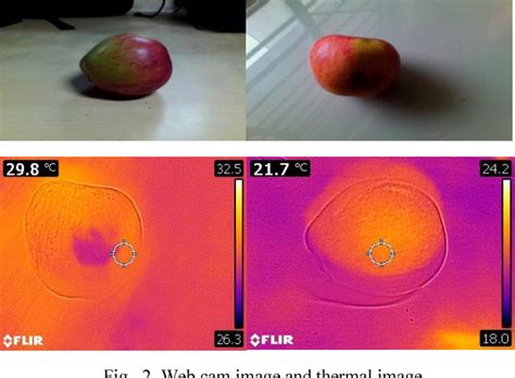Figure 2 From Real Time Automatic Bruise Detection In Apple Fruits