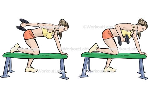 Dumbbell Tricep Kickback