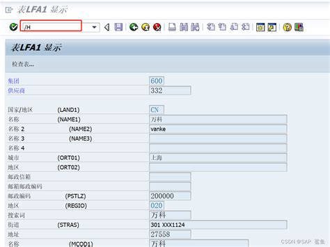 sap：se16以及se16n如何改表（超详细教程！） 数据库 sap 鲨鱼 gitcode 开源社区