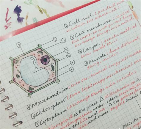 学习笔记 高清图片，堆糖，美图壁纸兴趣社区