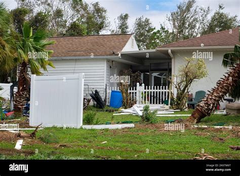 Fallen Down Big Tree Caused Damage Of Yard Fence After Hurricane Ian In Florida Consequences Of
