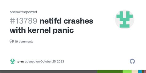 netifd crashes with kernel panic · issue 13789 · openwrt openwrt · github