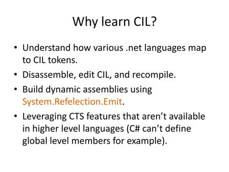 Understanding Cil And Dynamic Assemblies Pptx