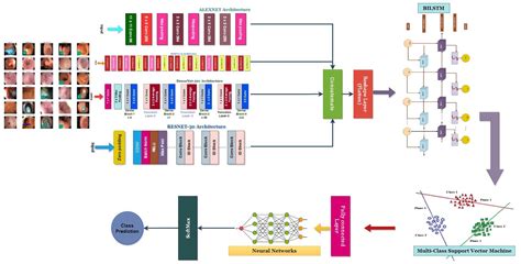 Bioengineering Free Full Text Ensemdeepcadx Empowering Colorectal Cancer Diagnosis With