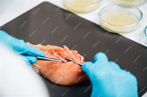 Premium Photo Food Safety And Quality Testing Of Poultry Meat