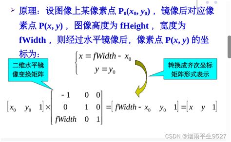 nefu数字图像处理（4）图像几何变换 图像处理镜像变换原理 csdn博客