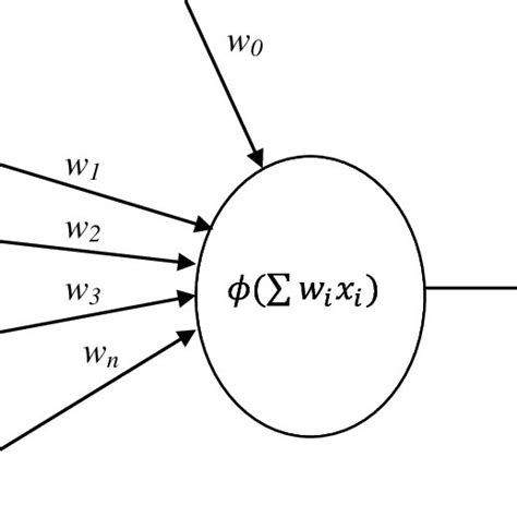 Structure Of A Neuron Download Scientific Diagram