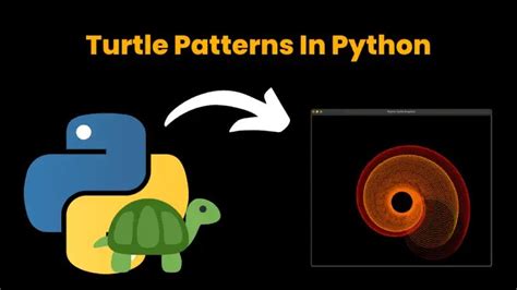 Turtle Patterns In Python With Source Code Codewithcurious