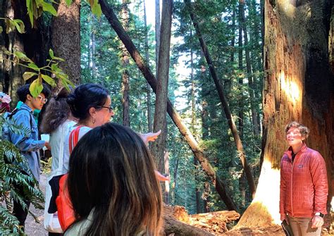 Core Hub Learning Tour Tour Of Arcata Community Forest And Marsh