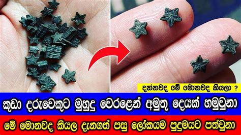 මෙවැනි අමුතු විකාර වැඩ කරන්නේ සොබාදහමට පිස්සු හැදිලද Youtube