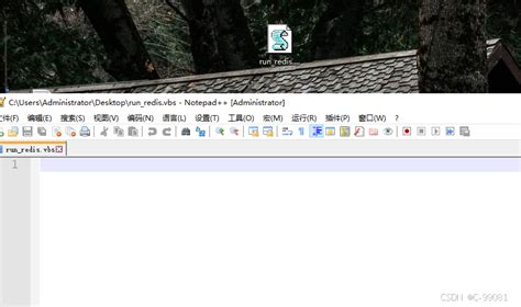 windows开机自动启动redis和frp windows设置frp开机启动 csdn博客