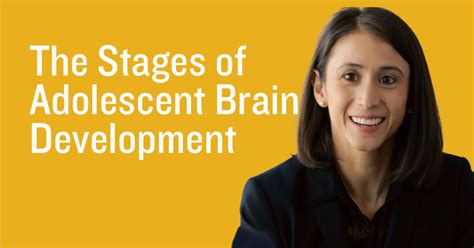 The Stages Of Adolescent Brain Development The Annie E Casey Foundation