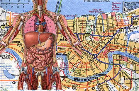 Gallery Of A Model For A Healthier Adaptive Approach To Community