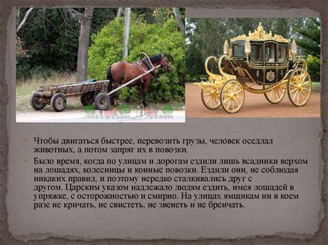 Исторические факты связанные с БДД - презентация онлайн