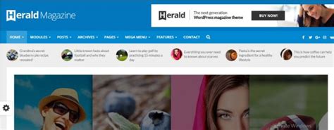 25 Beautiful Infinite Scroll Wordpress Themes You Can Use