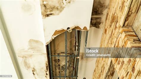 석고 보드 천장 배경이 손상되었습니다 빗물에서 깨진 석고 석고 천장은 철골 구조와 벽돌 벽 옆에 전구가 있는 지붕입니다 물에 대한 스톡 사진 및 기타 이미지 Istock